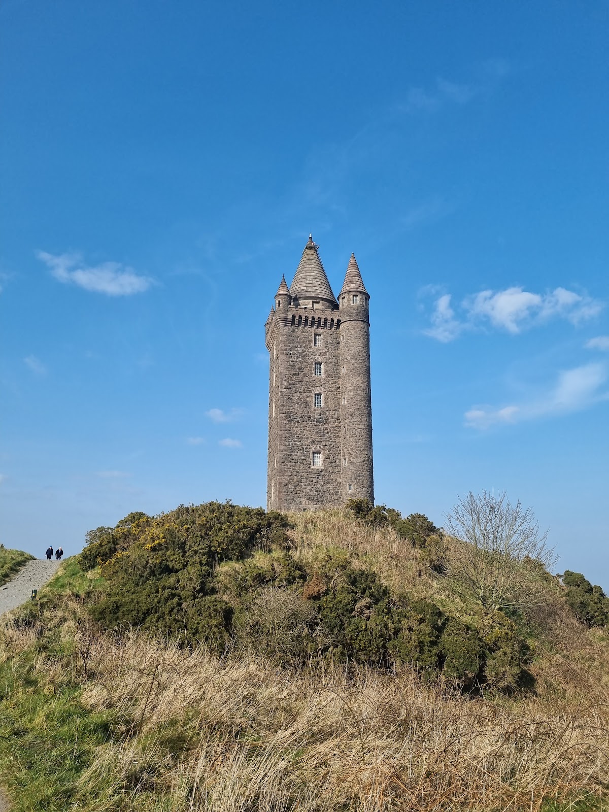 Scrabo Tower Newtownards (2026) – Best of TikTok, Instagram & Reddit ...