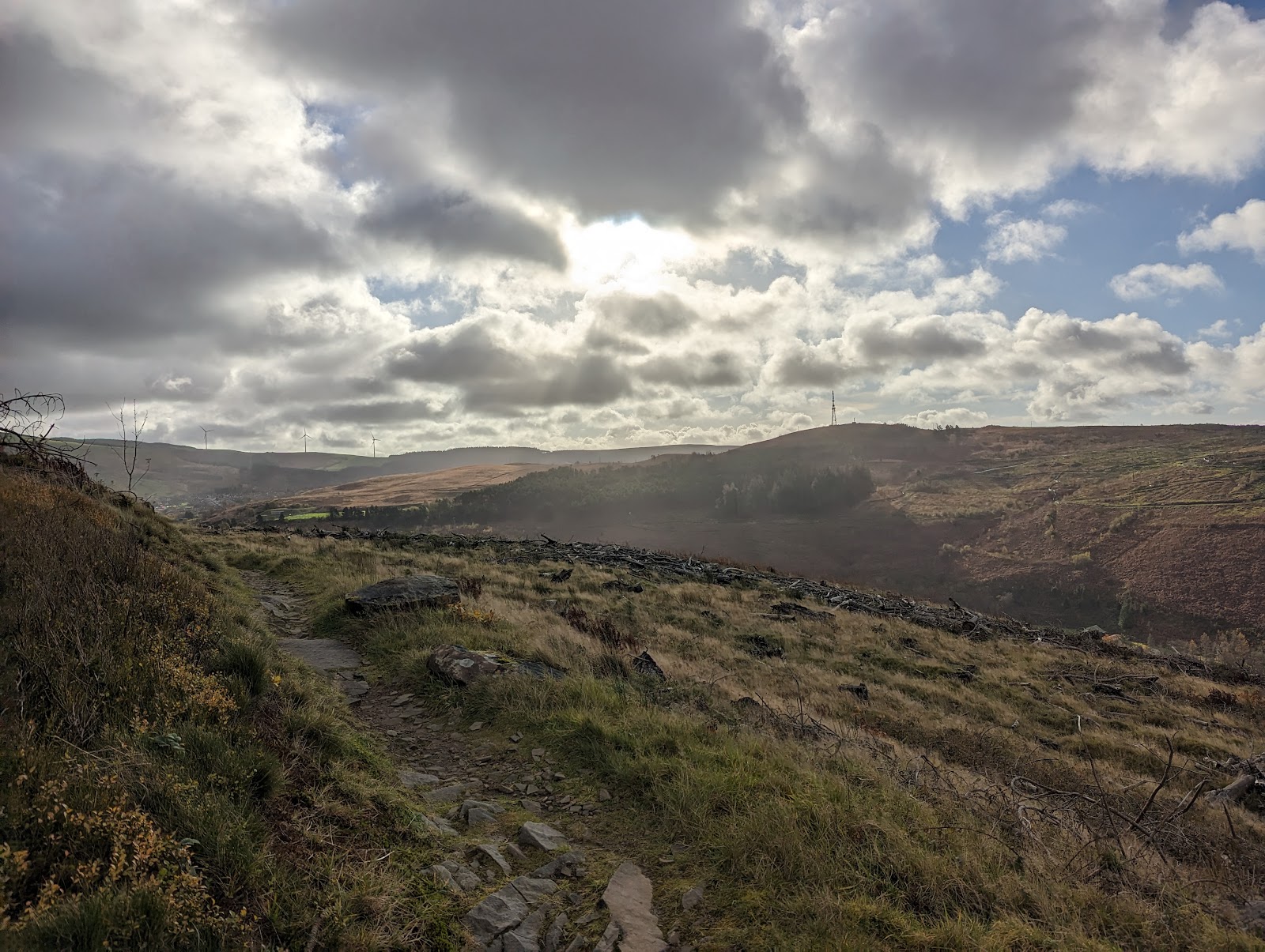 Glyncorrwg Mountain Bike Centre (2026) – Best of TikTok, Instagram ...