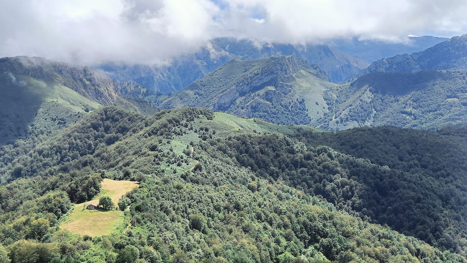Ponga Natural Park Asturias Spain (2026) – Best of TikTok, Instagram ...