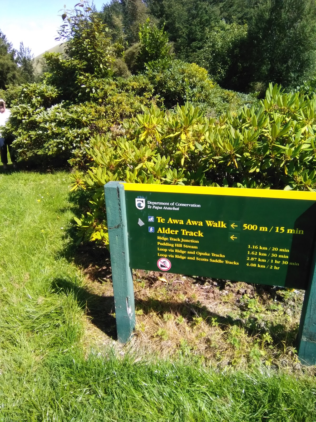 Awa Awa Rata Reserve (2026) – Best of TikTok, Instagram & Reddit Travel ...