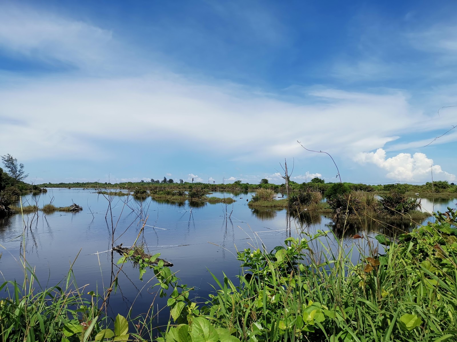 Kuala Baram Wetland (2025) – Best of TikTok, Instagram & Reddit Travel ...