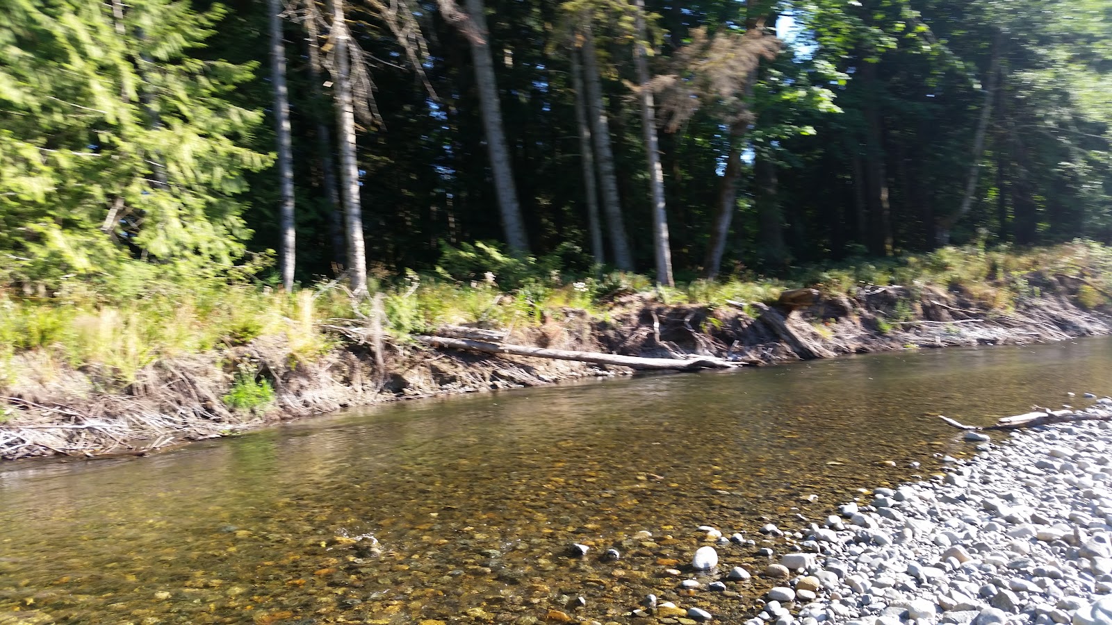 Little Qualicum River Estuary (2026) – Best of TikTok, Instagram ...