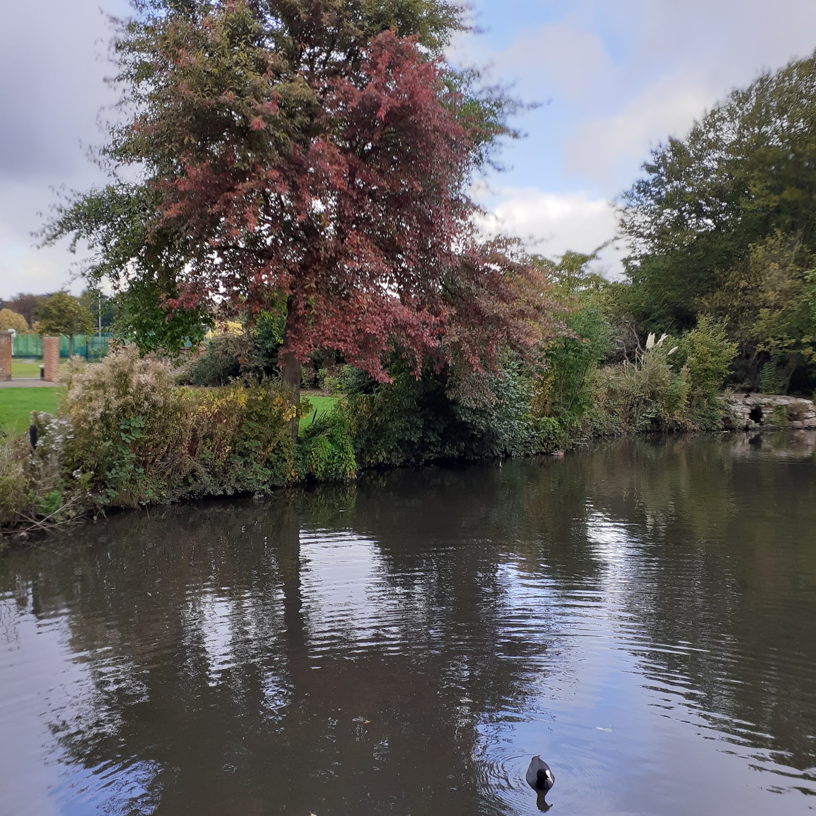 Palmers Green London (2026) – Best of TikTok, Instagram & Reddit Travel ...