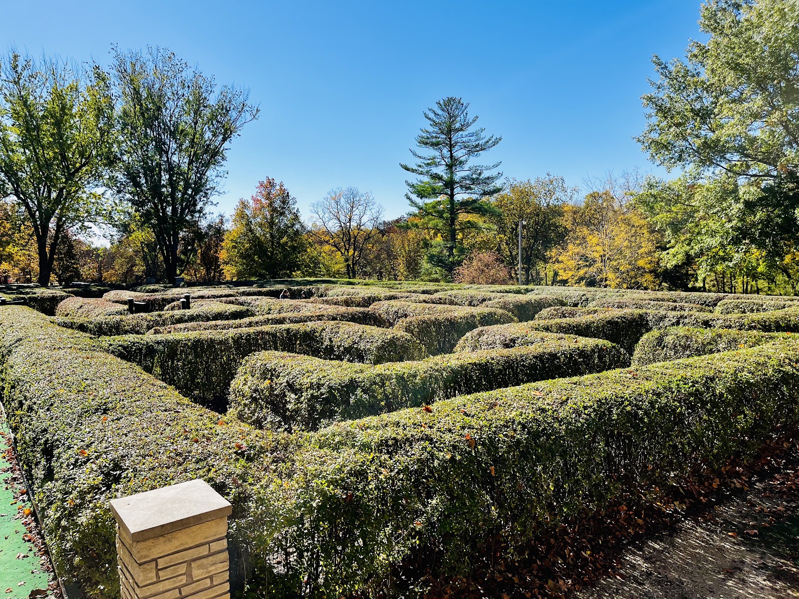 Hedge Maze City Park (2026) – Best of TikTok, Instagram & Reddit Travel ...