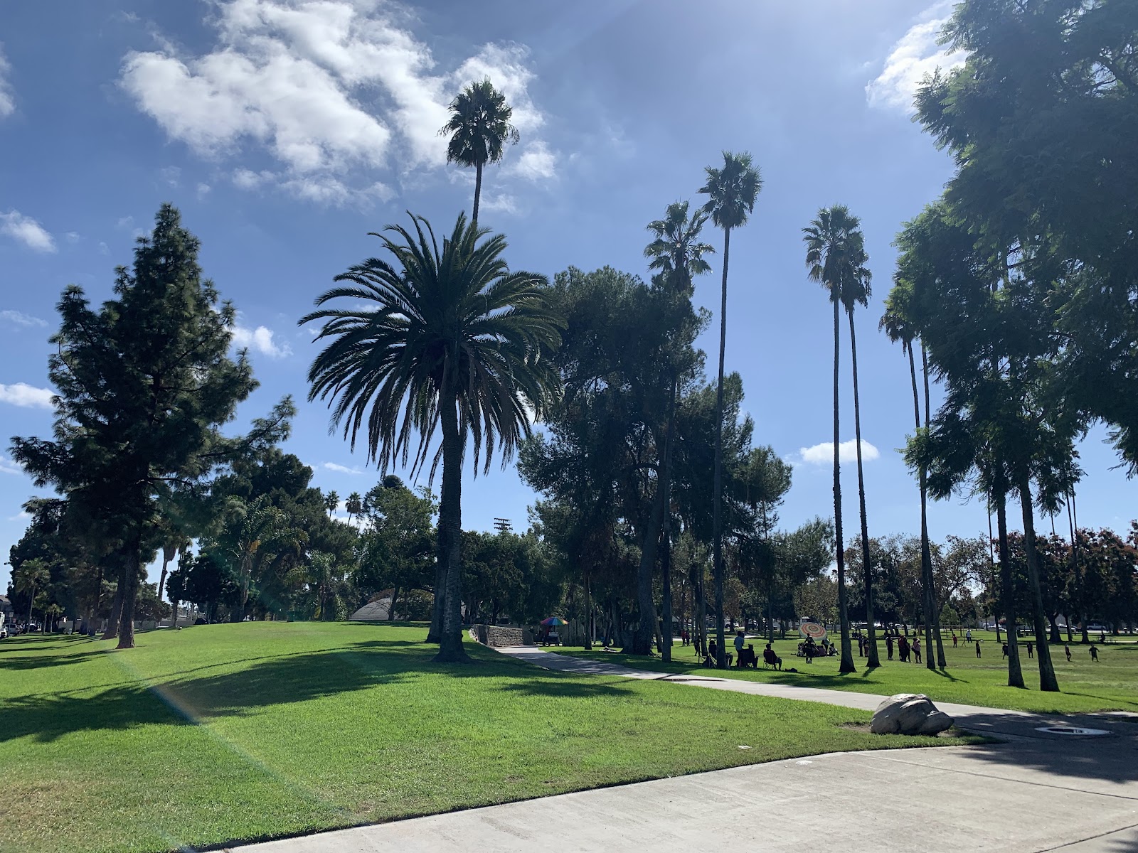 La Palma Park (2026) – Best of TikTok, Instagram & Reddit Travel Guide