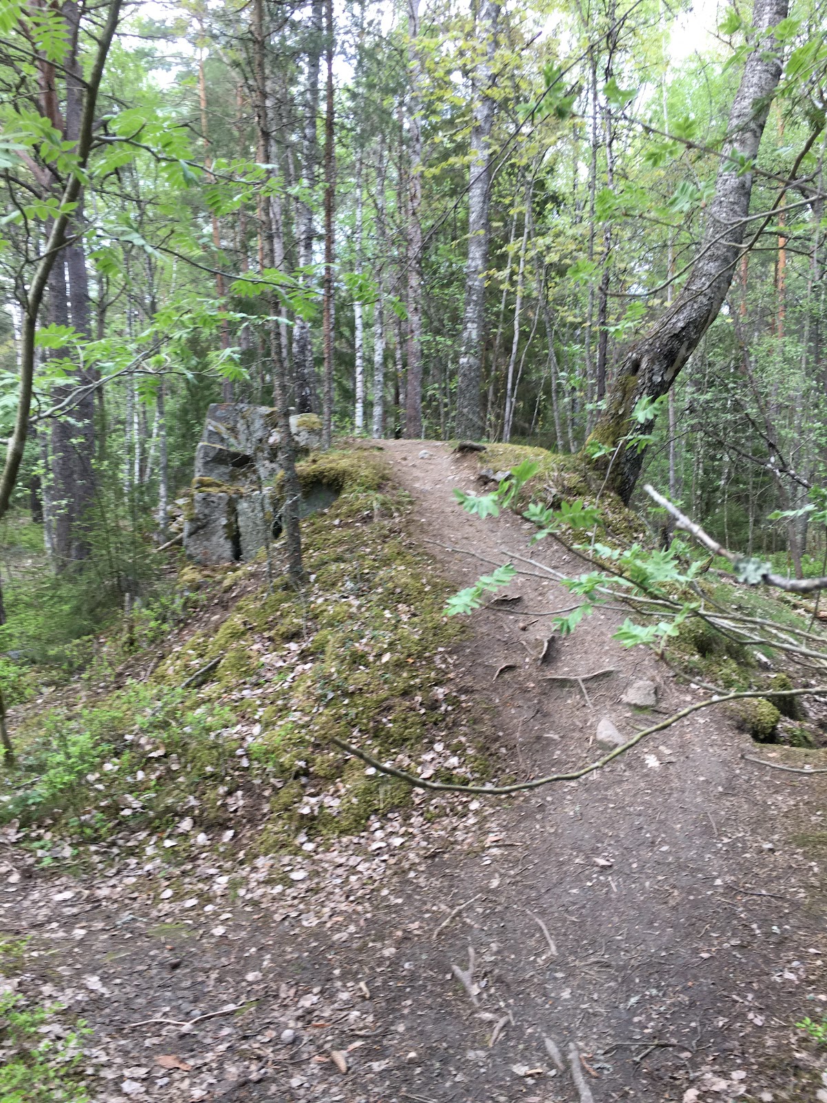 Stadsskogen City Forest (2026) – Best of TikTok, Instagram & Reddit ...