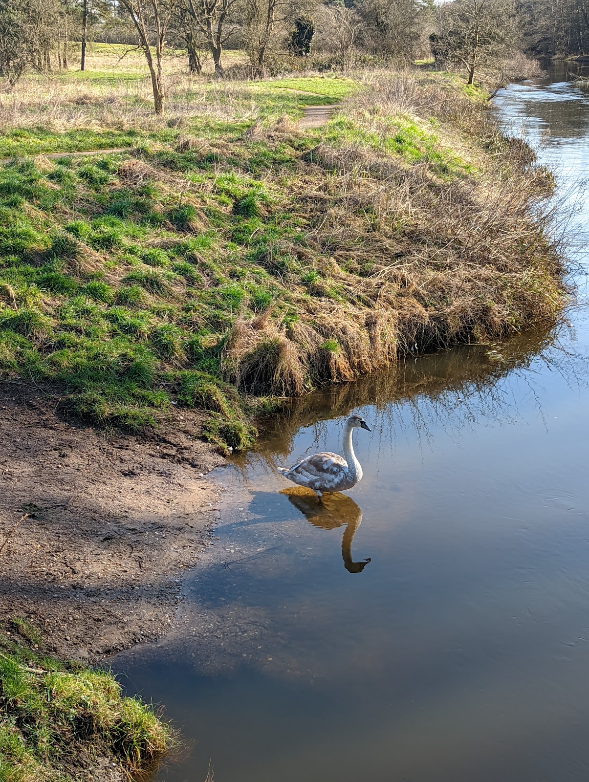 St Helen's Picnic Site Santon Downham & Santon Downham Ford (2026 ...
