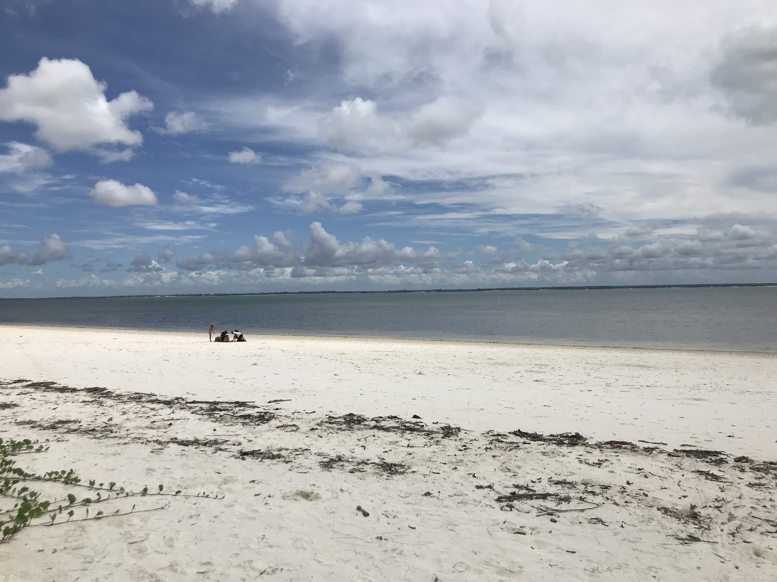 Chwaka Bay (2026) – Best of TikTok, Instagram & Reddit Travel Guide