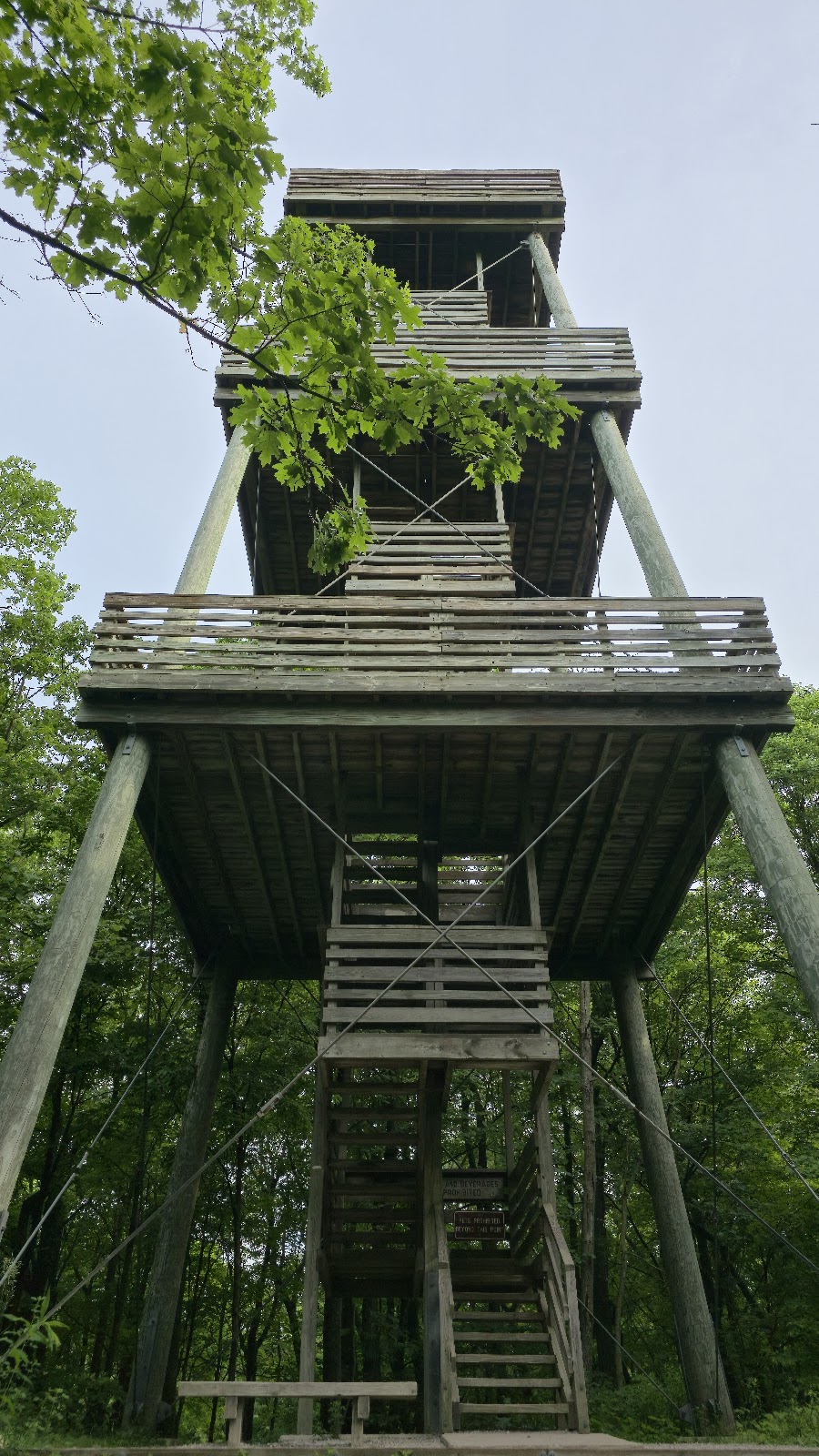 Parnell Tower (2026) – Best of TikTok, Instagram & Reddit Travel Guide