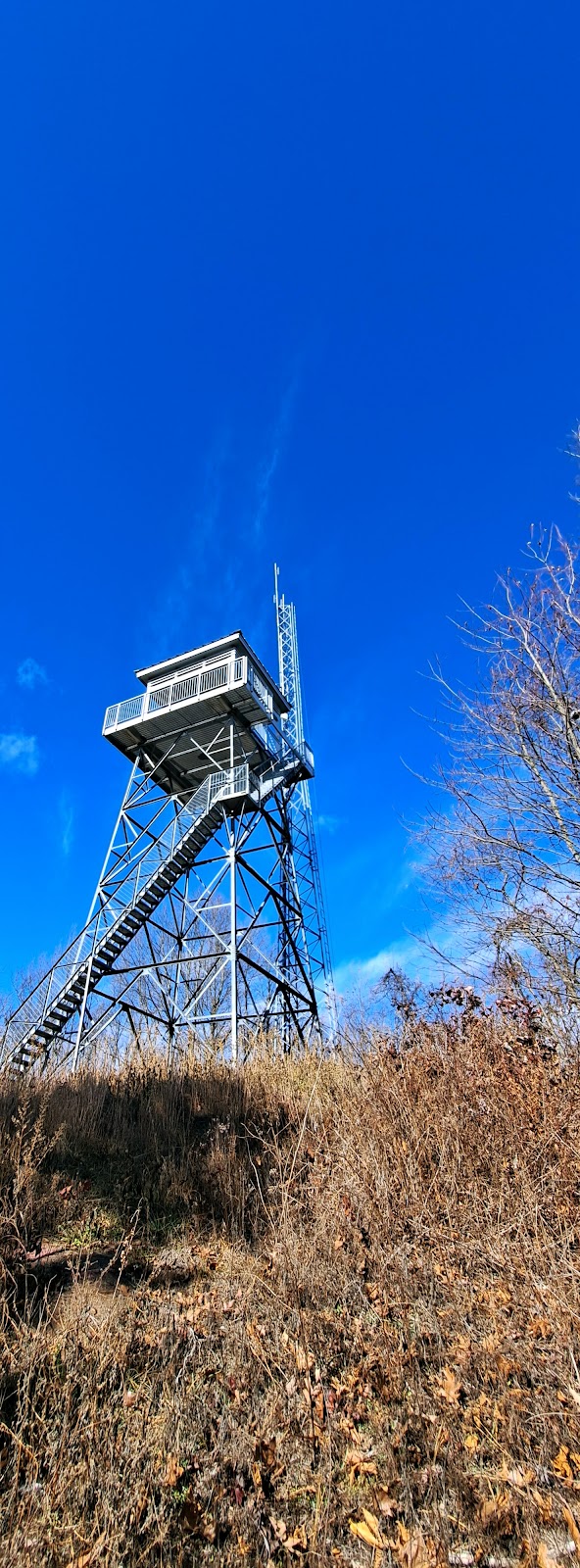 Pinnacle Mountain Fire Tower (2025) – Best of TikTok, Instagram ...