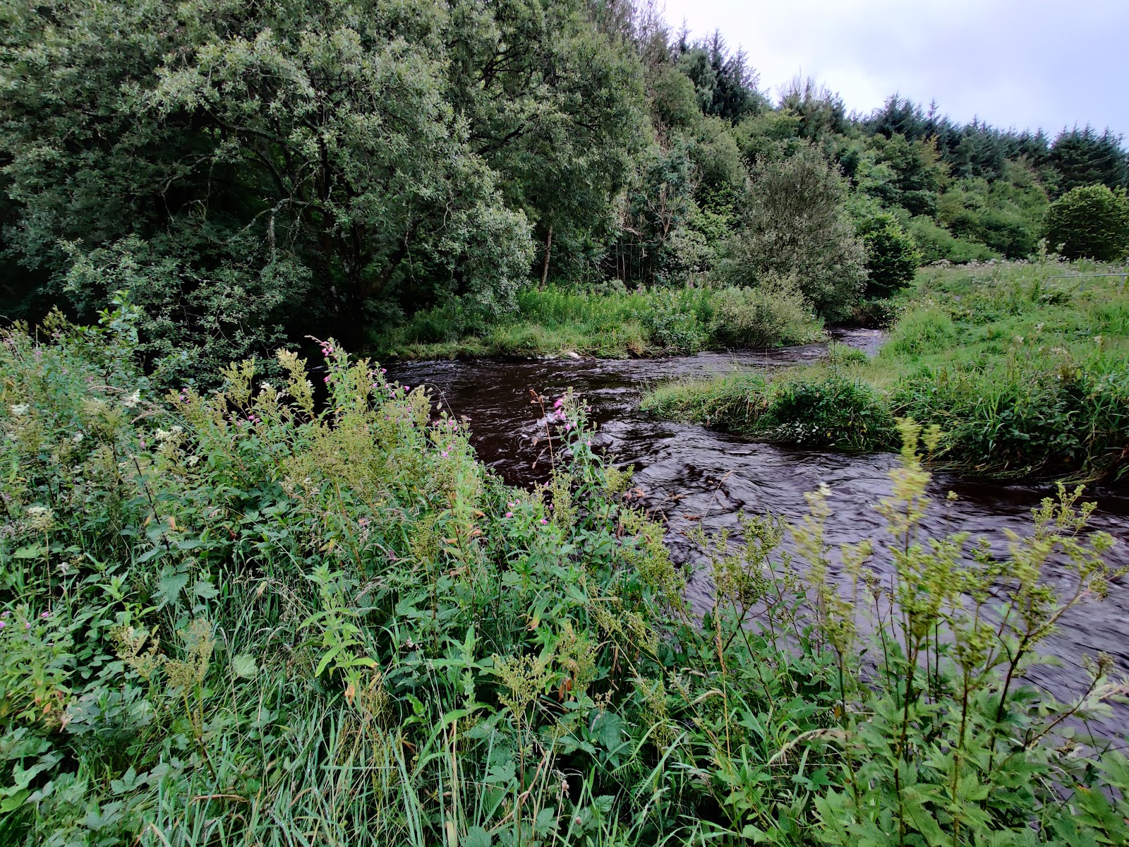 Murieston Trail and South Woods (2025) – Best of TikTok, Instagram ...