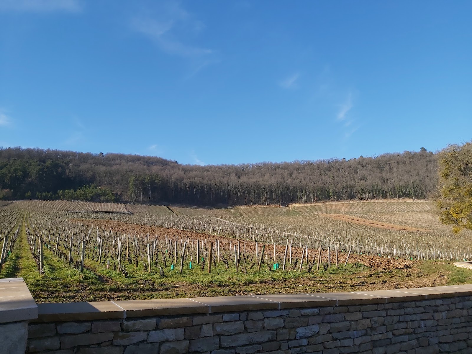 Blagny Hamlet and Vineyards (2026) – Best of TikTok, Instagram & Reddit ...