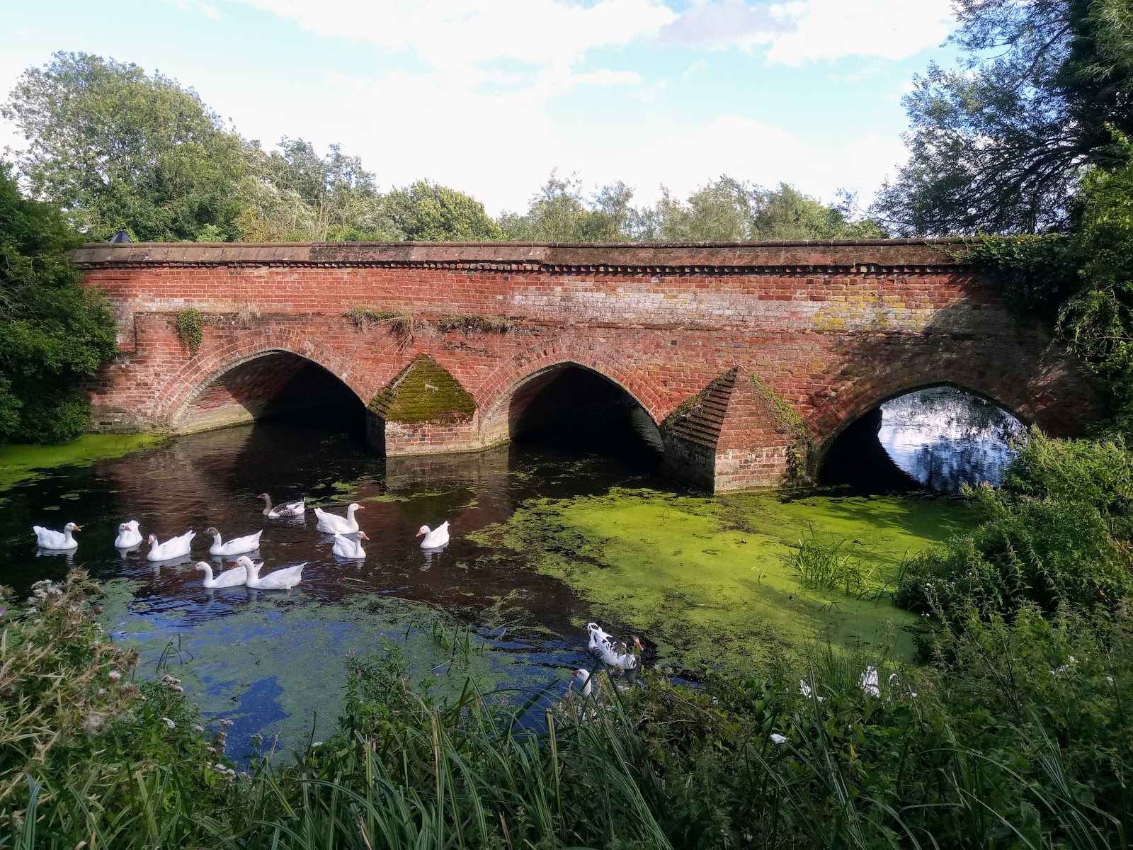 Toppesfield Bridge Hadleigh (2026) – Best of TikTok, Instagram & Reddit ...