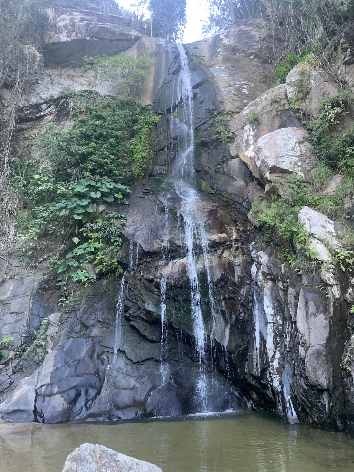 Yelapa Waterfall (2025) – Best of TikTok, Instagram & Reddit Travel Guide