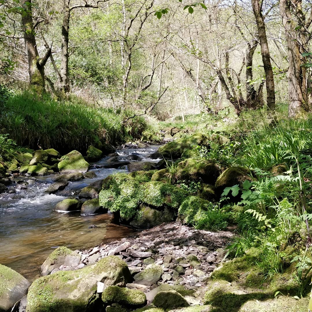 RSPB Coombes Valley (2026) – Best of TikTok, Instagram & Reddit Travel ...