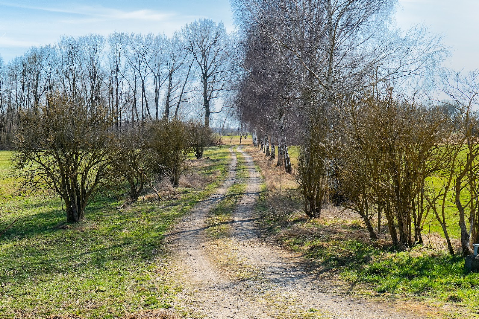 Langenauer Ried (2026) – Best of TikTok, Instagram & Reddit Travel Guide