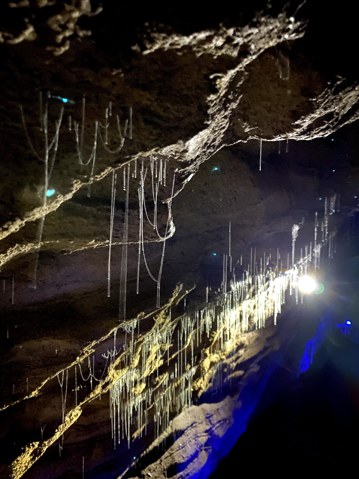 Ruakuri Cave Waitomo (2025) – Best of TikTok, Instagram & Reddit Travel ...