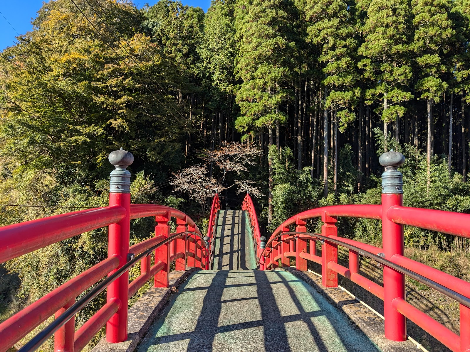Yoro Valley Yoro Keikoku Chiba (2025) – Best of TikTok, Instagram ...