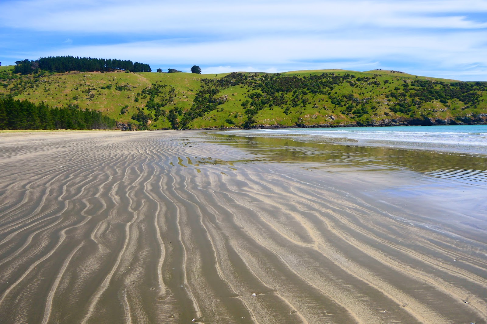Okains Bay Beach (2026) – Best of TikTok, Instagram & Reddit Travel Guide