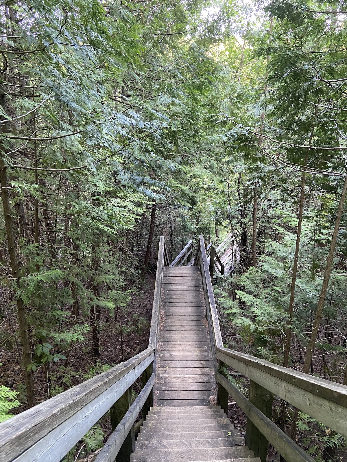 Heber Down Conservation Area Whitby (2025) – Best of TikTok, Instagram ...