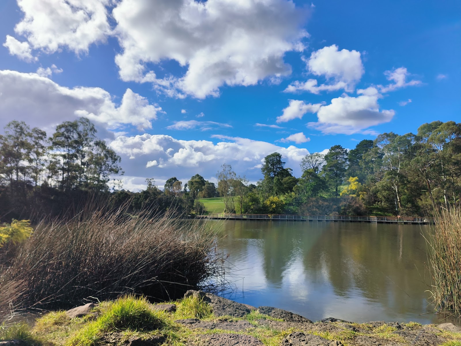 Bulleen Park Wetlands (2026) – Best of TikTok, Instagram & Reddit ...