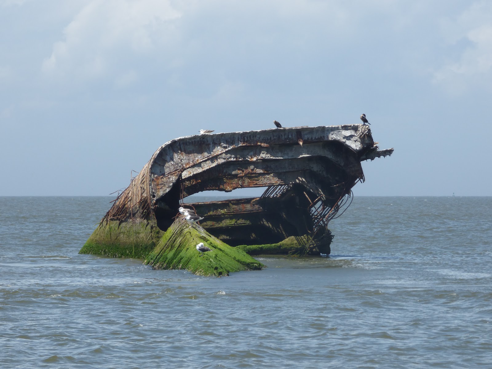 SS Atlantus Concrete Ship (2026) – Best of TikTok, Instagram & Reddit ...