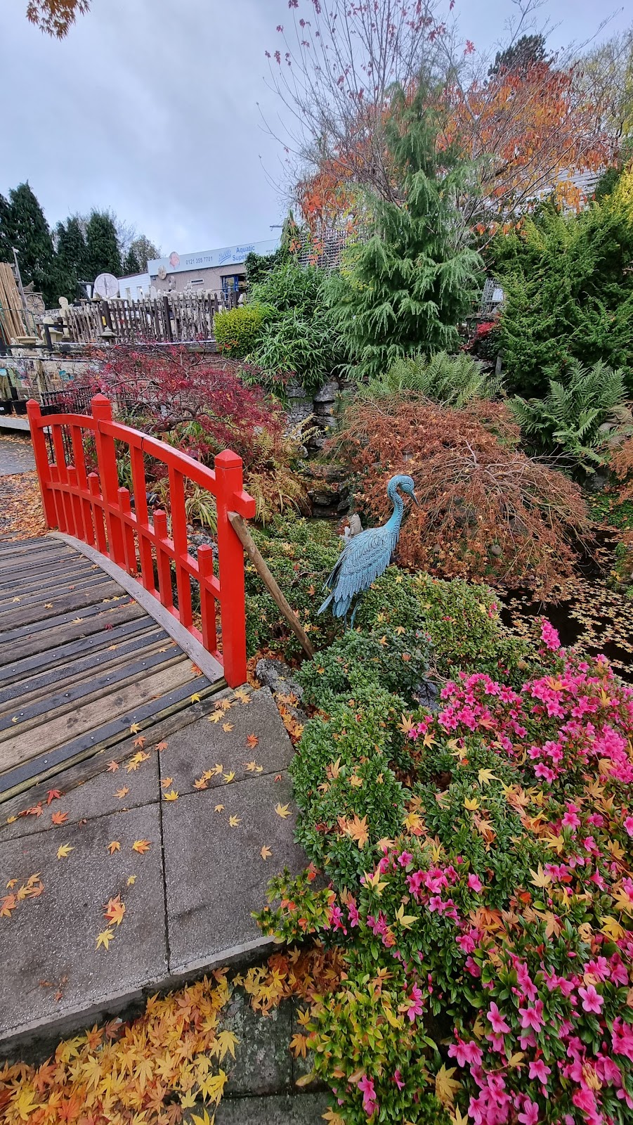 Sutton Coldfield (2026) – Best of TikTok, Instagram & Reddit Travel Guide