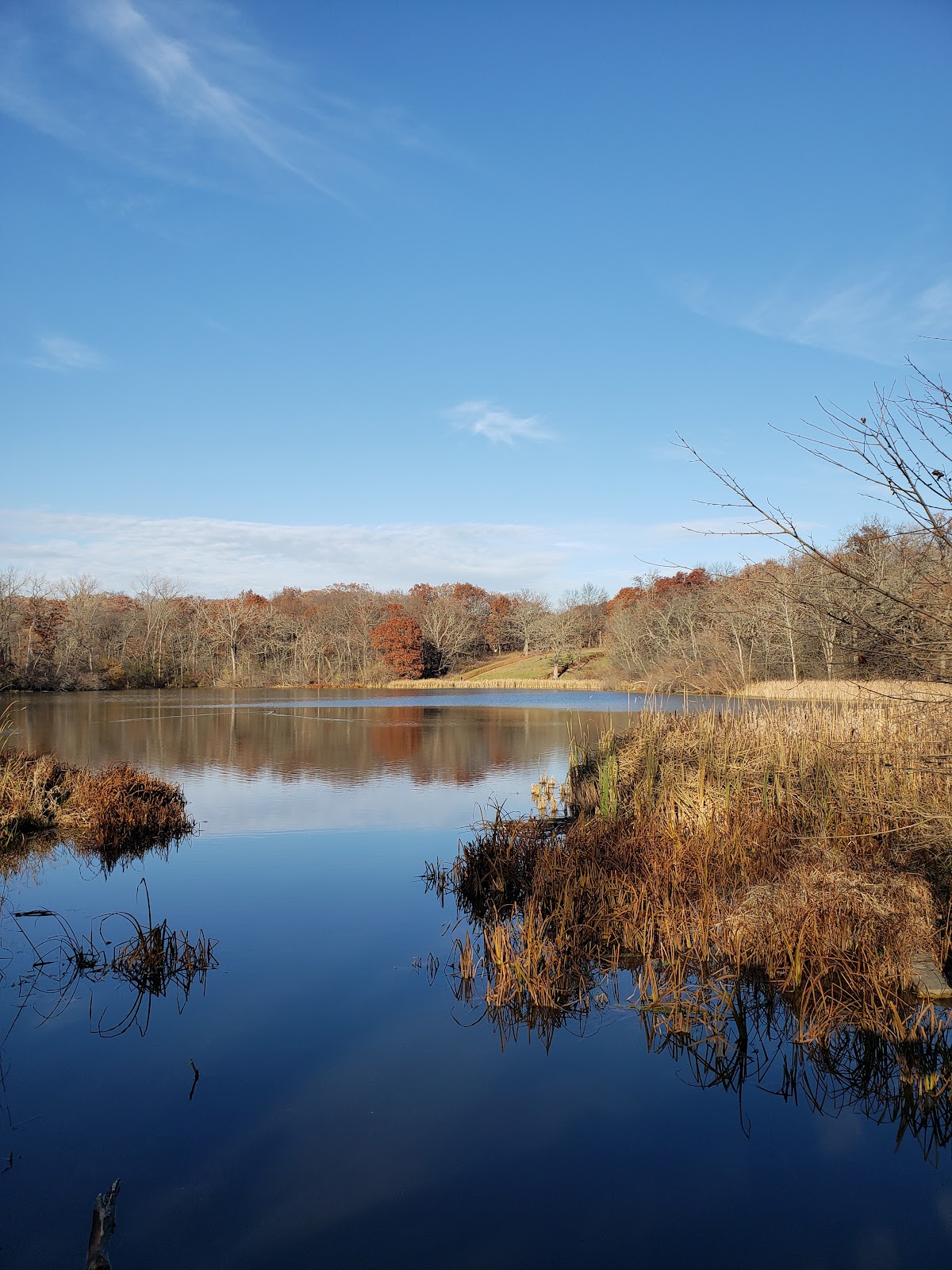 Deer Grove Forest Preserve (2026) – Best of TikTok, Instagram & Reddit ...