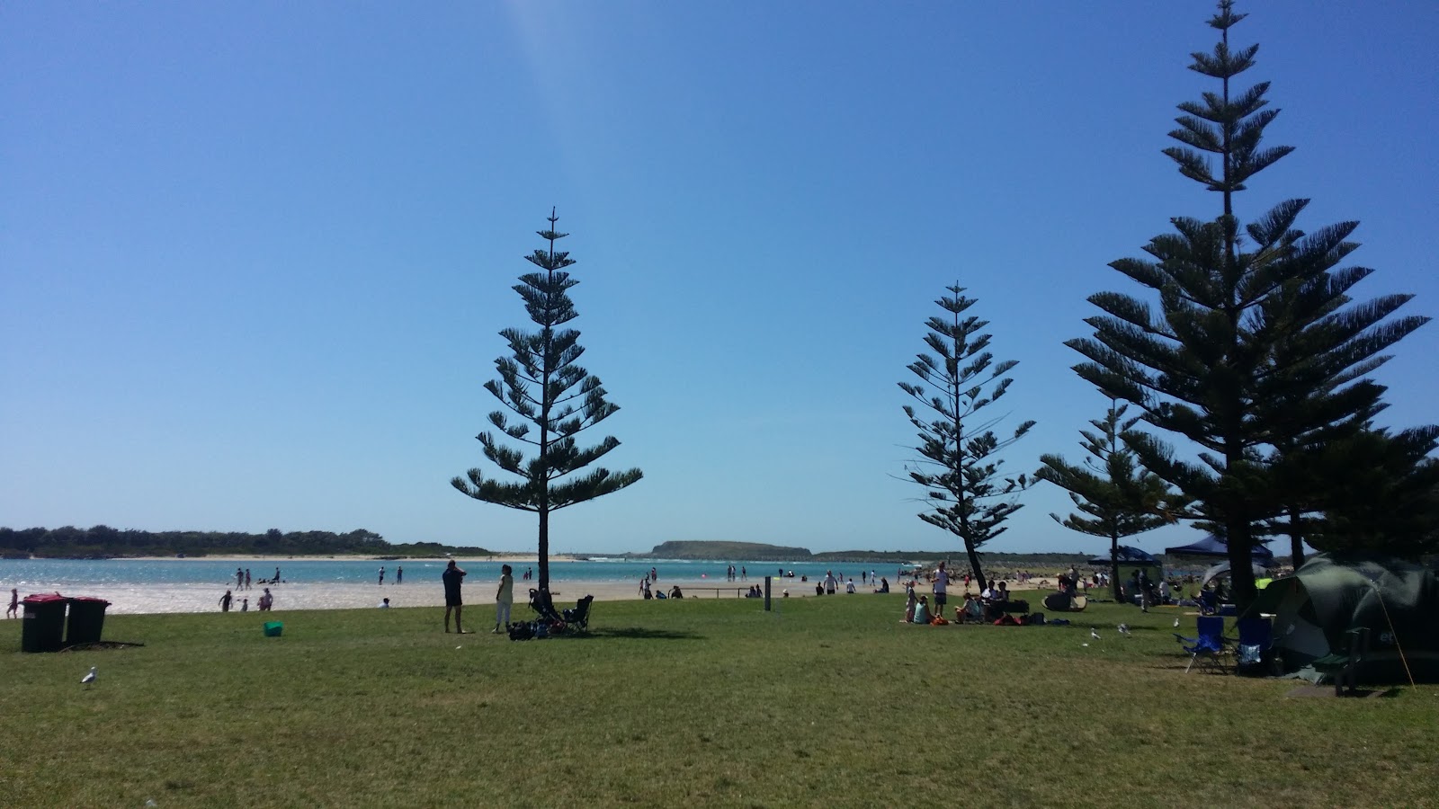 Reddall Reserve (2026) – Best of TikTok, Instagram & Reddit Travel Guide