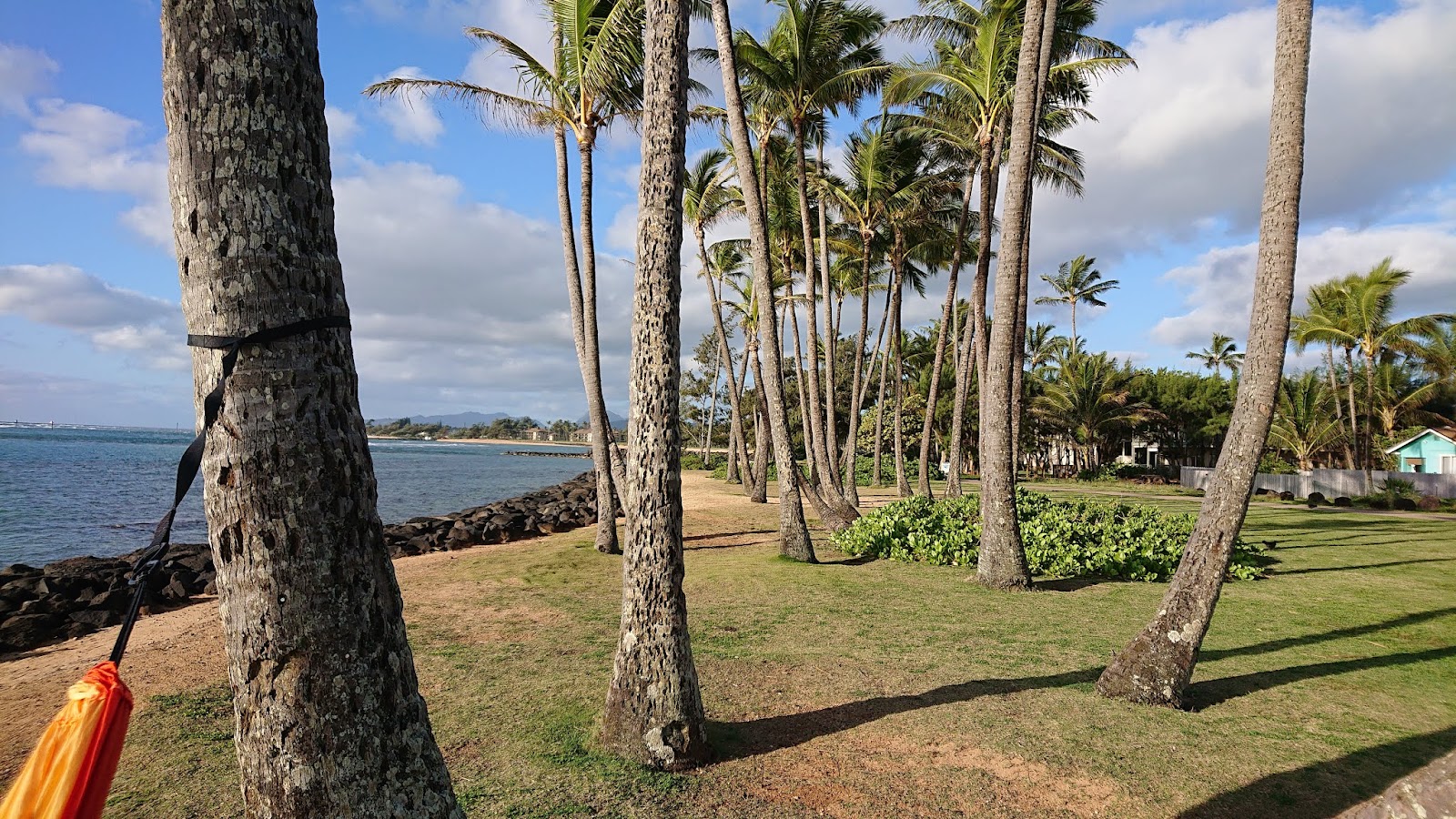 Kapa'a Town (2026) – Best of TikTok, Instagram & Reddit Travel Guide