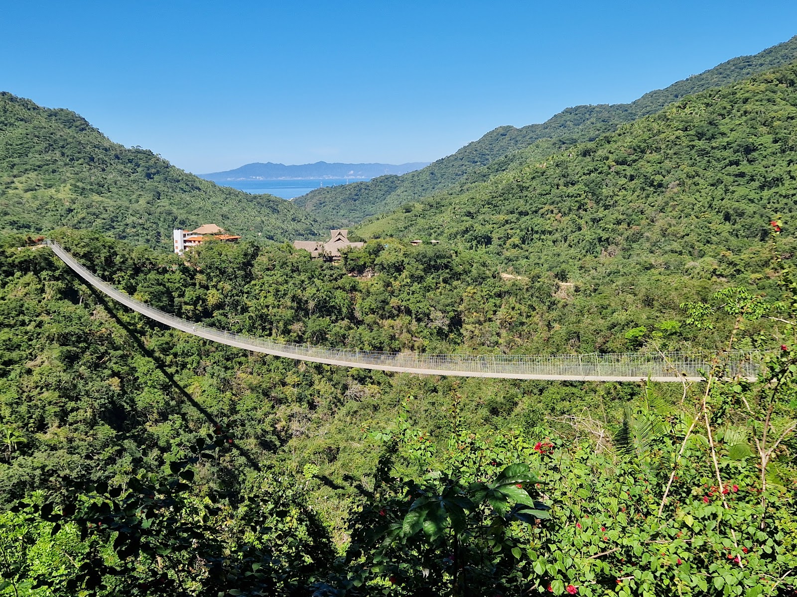 Jorullo Bridge (2025) – Best of TikTok, Instagram & Reddit Travel Guide