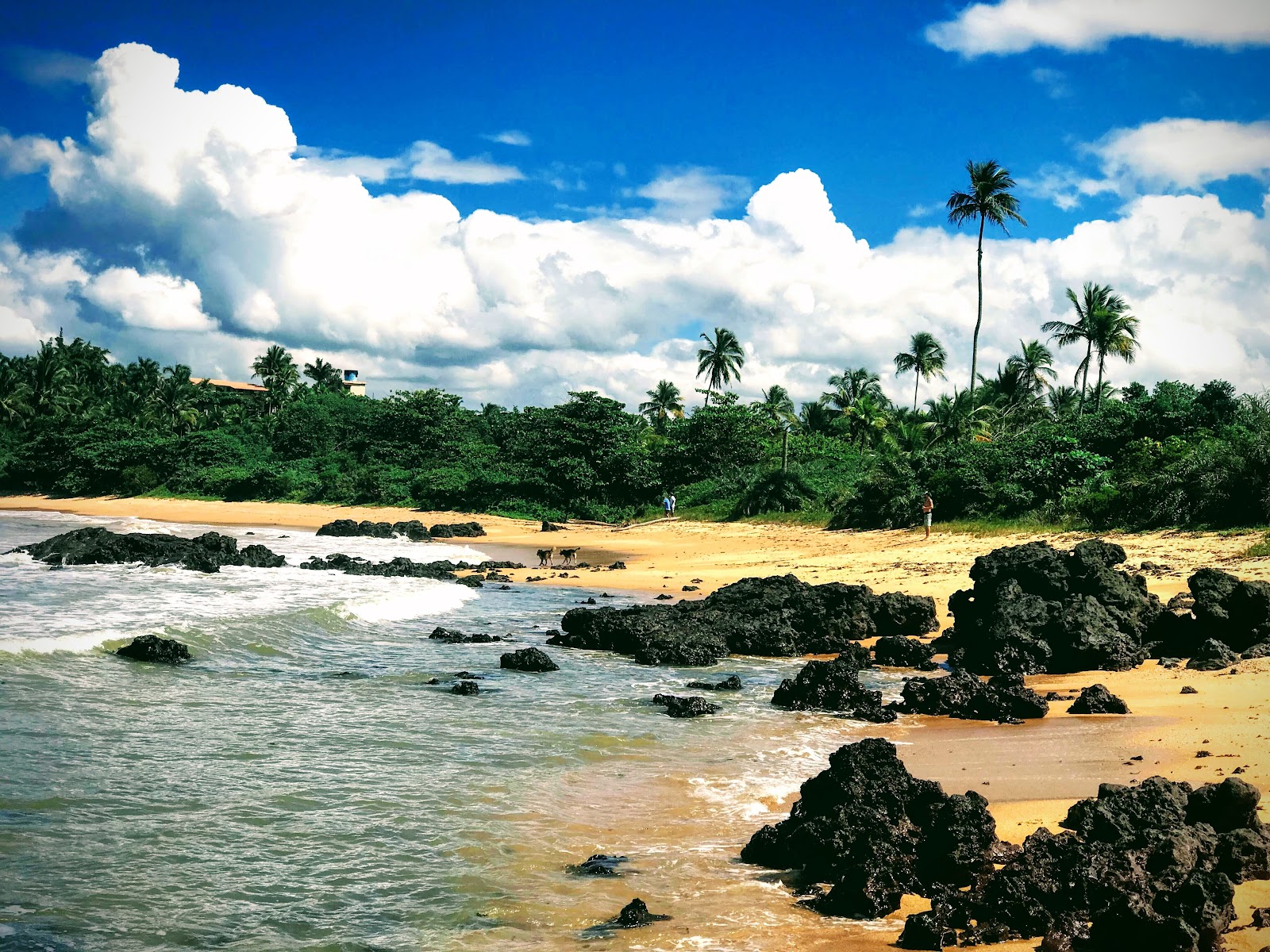 Praia Formosa Aracruz (2026) – Best of TikTok, Instagram & Reddit ...