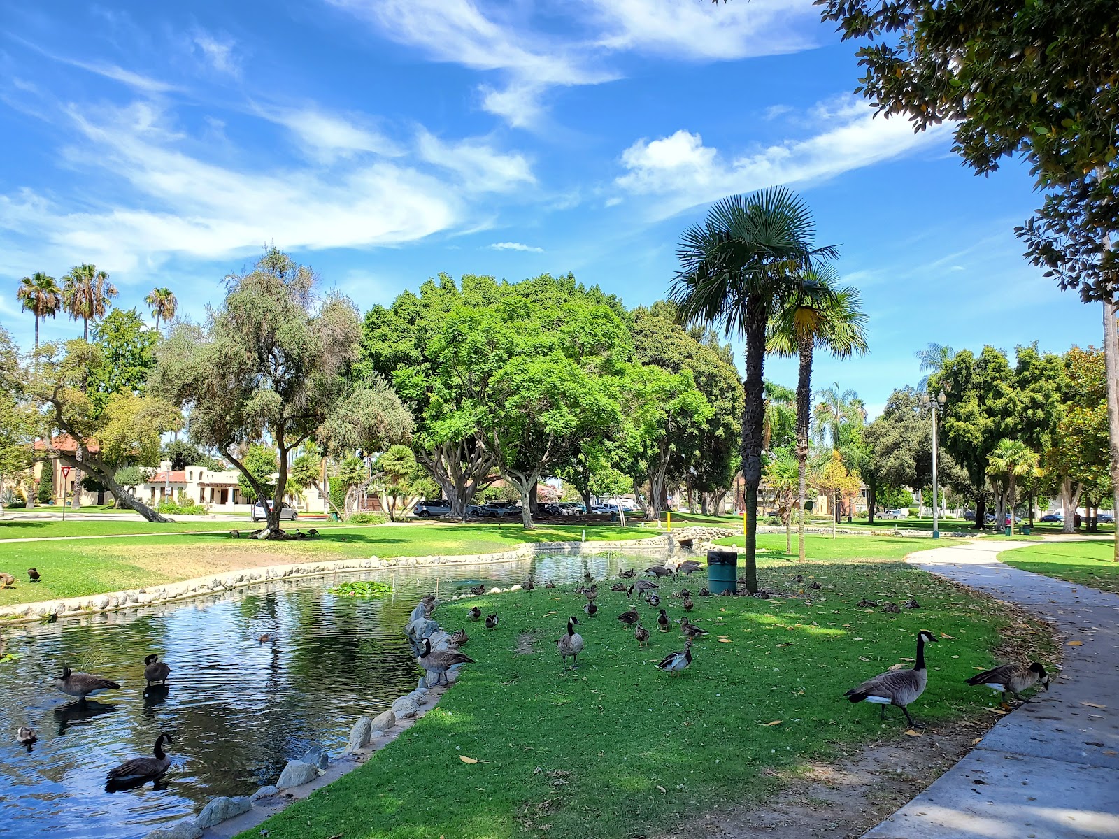 Pearson Park (2026) – Best of TikTok, Instagram & Reddit Travel Guide