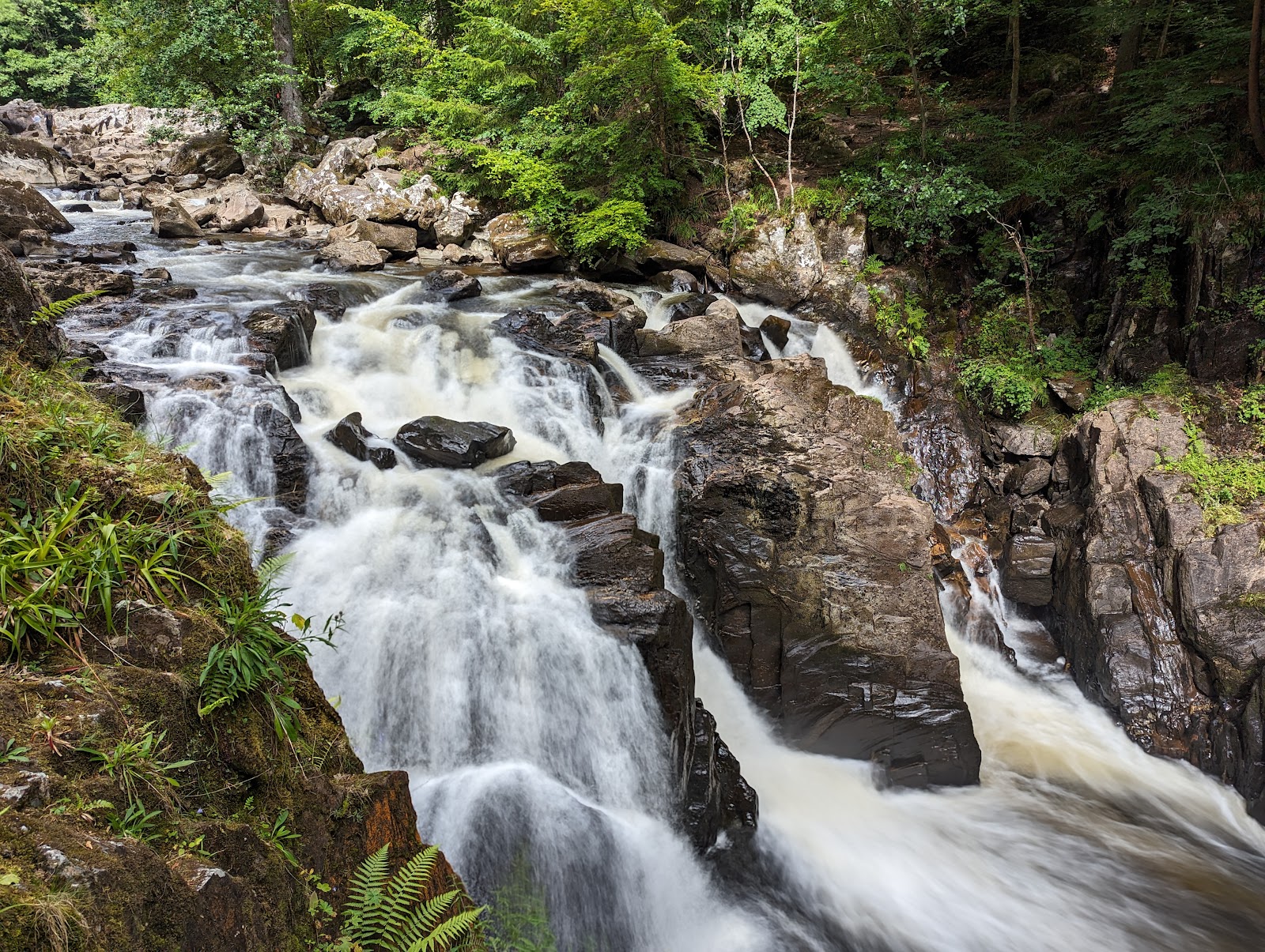 Black Linn Falls (2025) – Best of TikTok, Instagram & Reddit Travel Guide