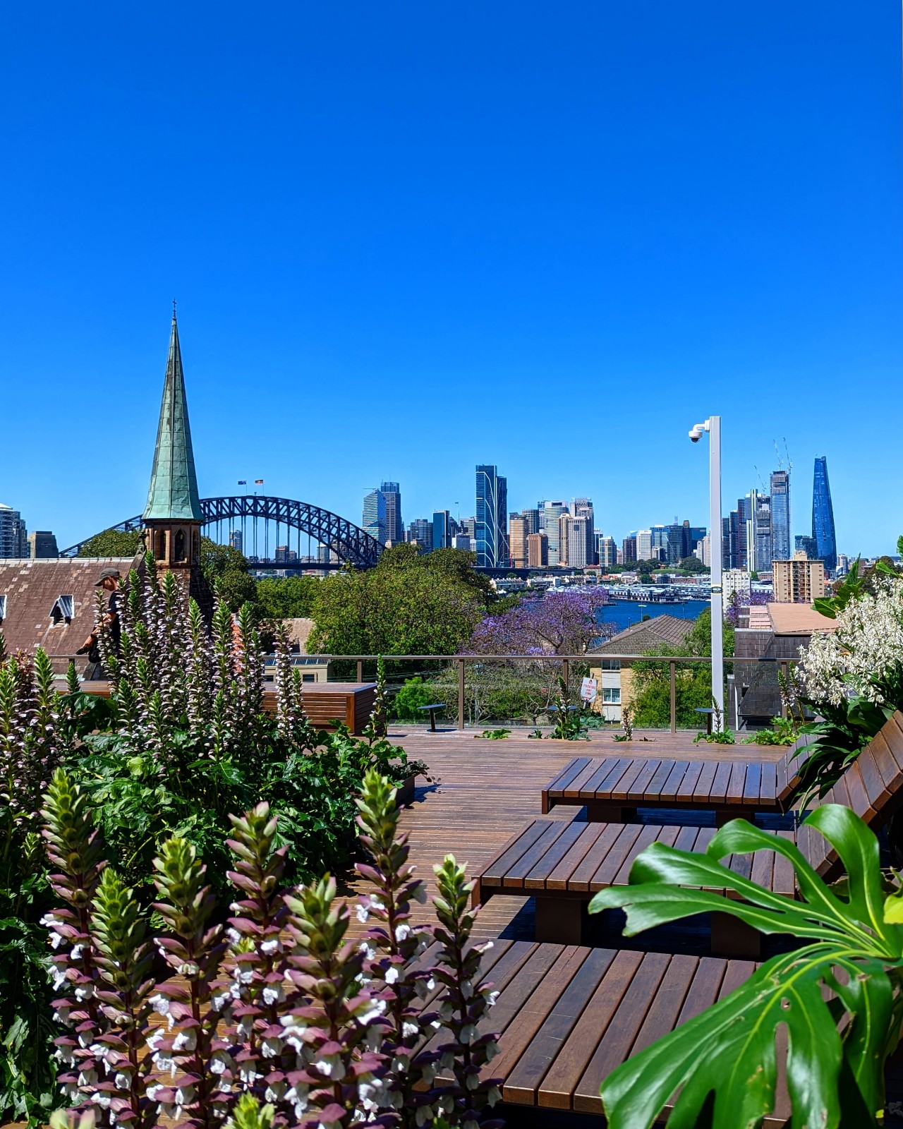 Blue Street North Sydney NSW (2026) – Best of TikTok, Instagram ...