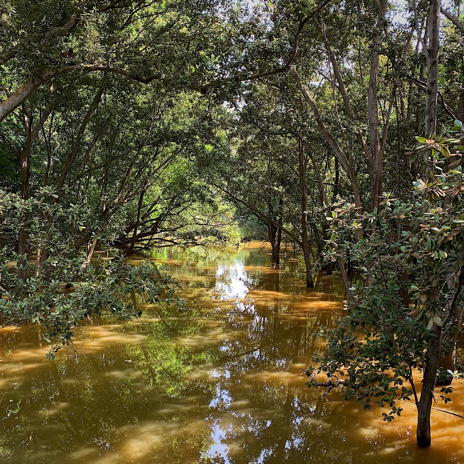 Labrador Park Berlayer Creek (2026) – Best of TikTok, Instagram ...