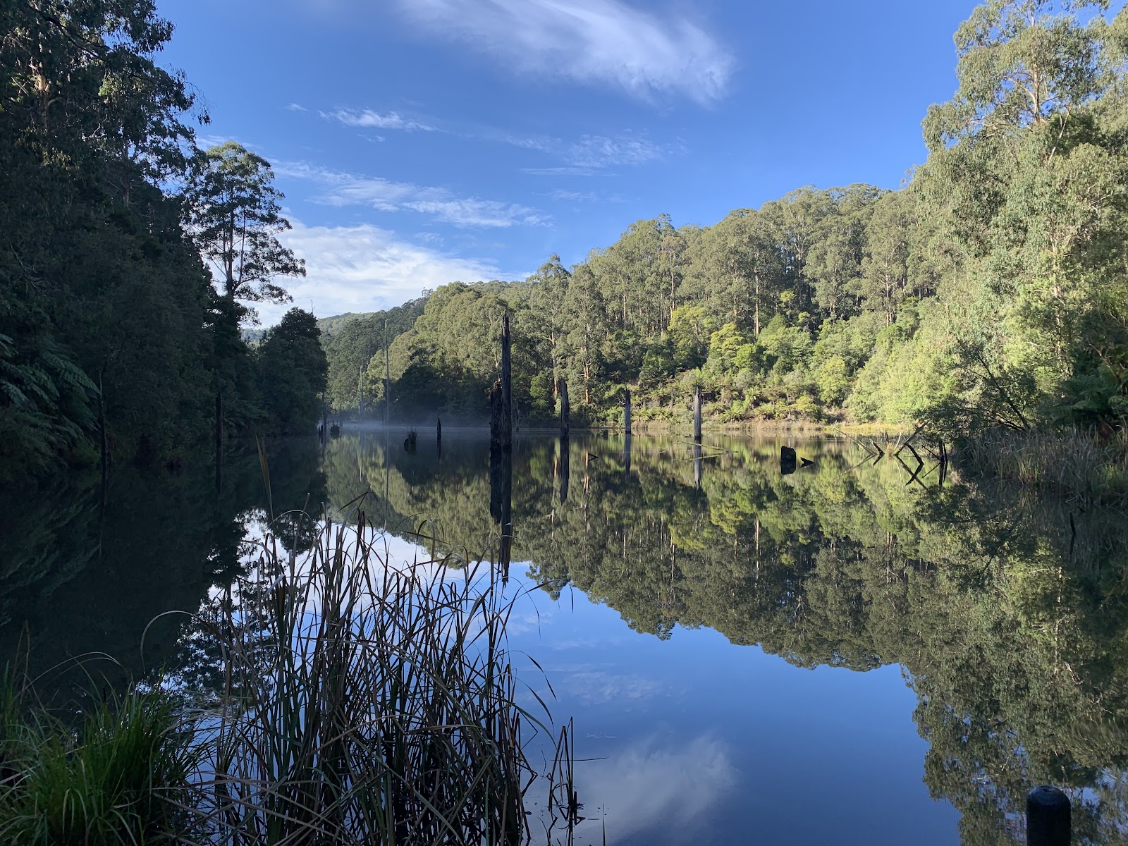 Lake Elizabeth Forrest (2026) – Best of TikTok, Instagram & Reddit ...