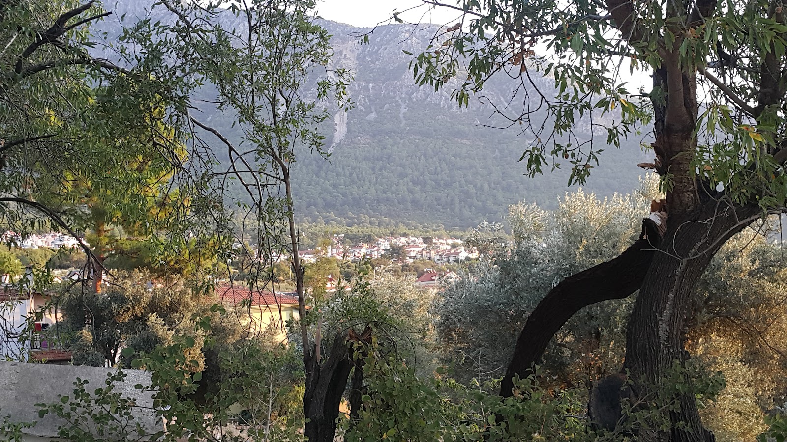 Ovacik Turkey (2026) – Best of TikTok, Instagram & Reddit Travel Guide