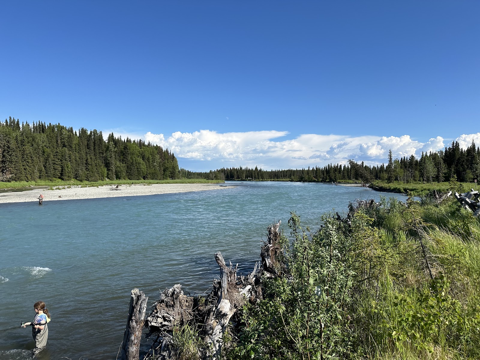 Crooked Creek Salmon Viewing Area (2026) – Best of TikTok, Instagram ...
