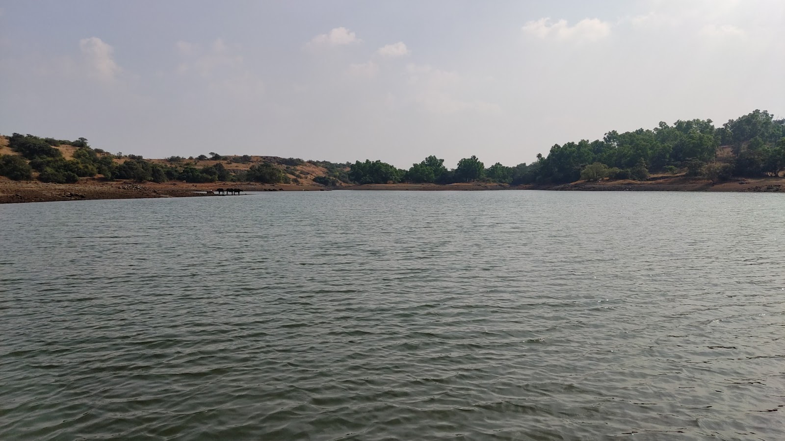 Tungarli Lake and Dam (2025) – Best of TikTok, Instagram & Reddit ...