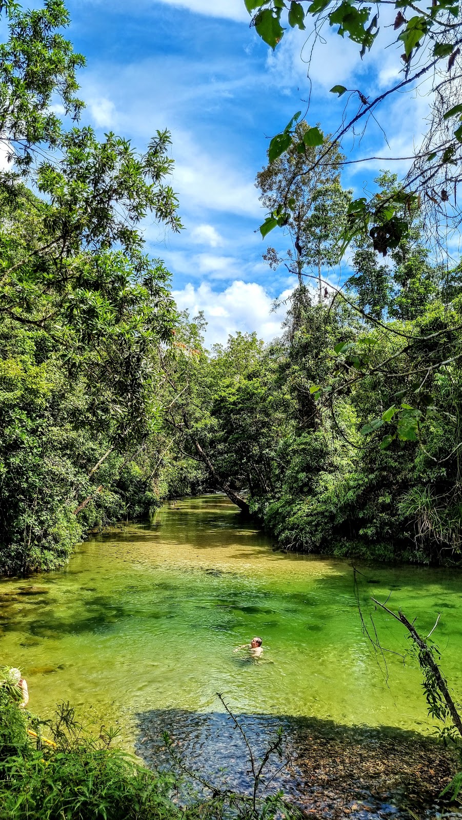 Alligators Nest Tully (2026) – Best of TikTok, Instagram & Reddit ...
