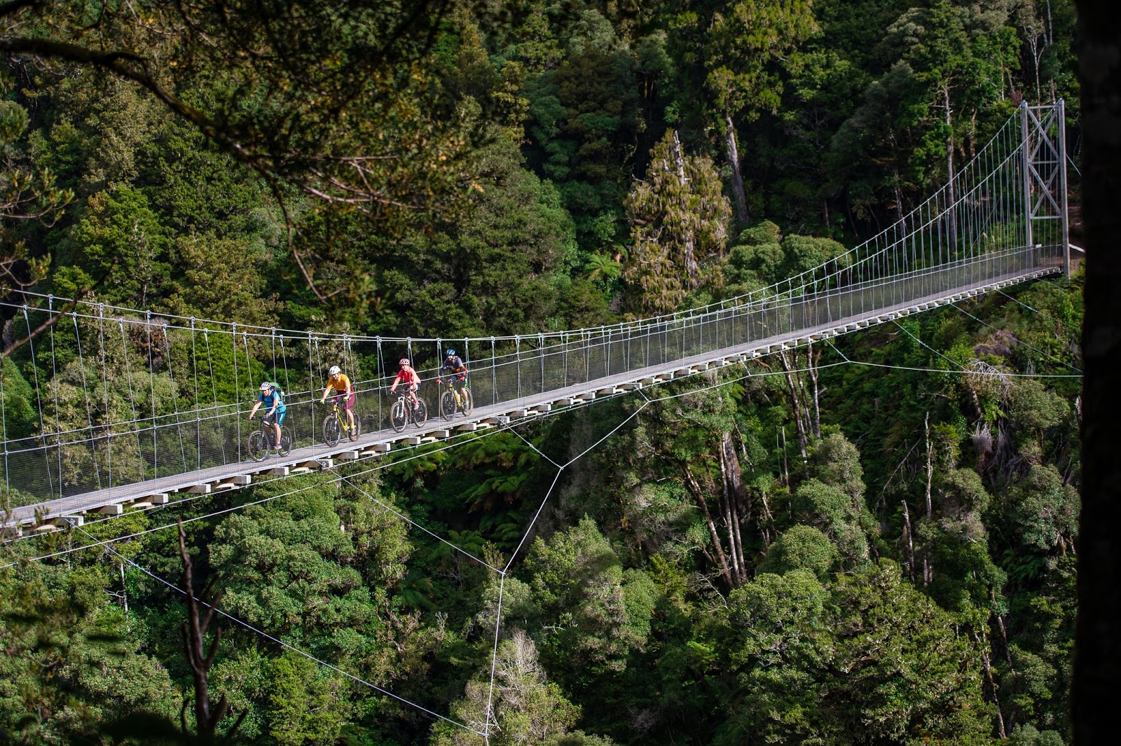 Timber Trail Cycle Route Waitomo (2026) – Best of TikTok, Instagram ...