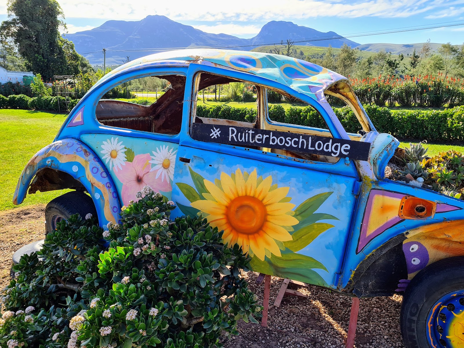 Ruiterbos Nature Reserve (2026) – Best of TikTok, Instagram & Reddit ...