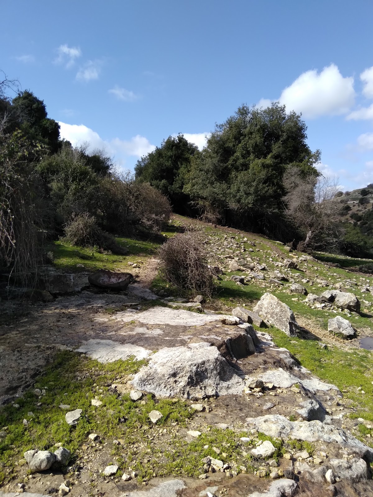 Mount Meron Nature Reserve (2026) – Best of TikTok, Instagram & Reddit ...