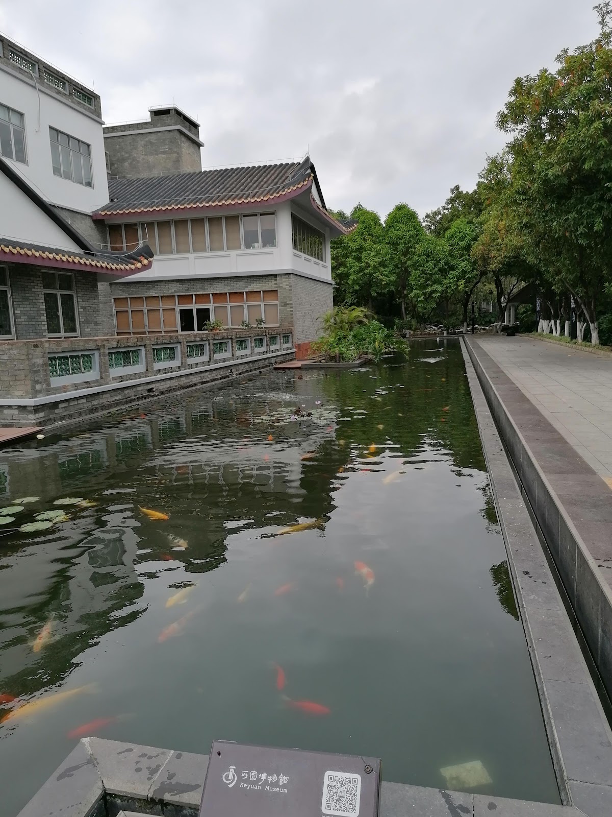 Guancheng Old Town (2026) – Best of TikTok, Instagram & Reddit Travel Guide