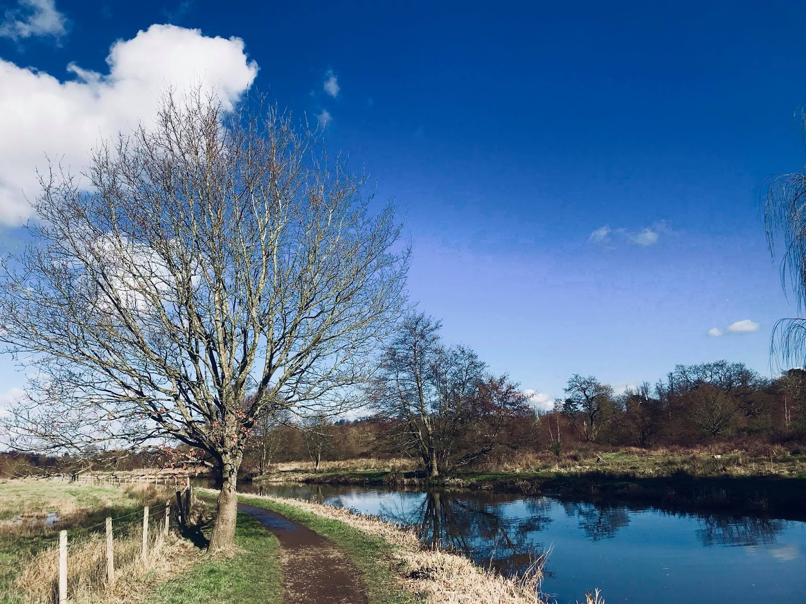 River Wey Navigation (2026) – Best of TikTok, Instagram & Reddit Travel ...
