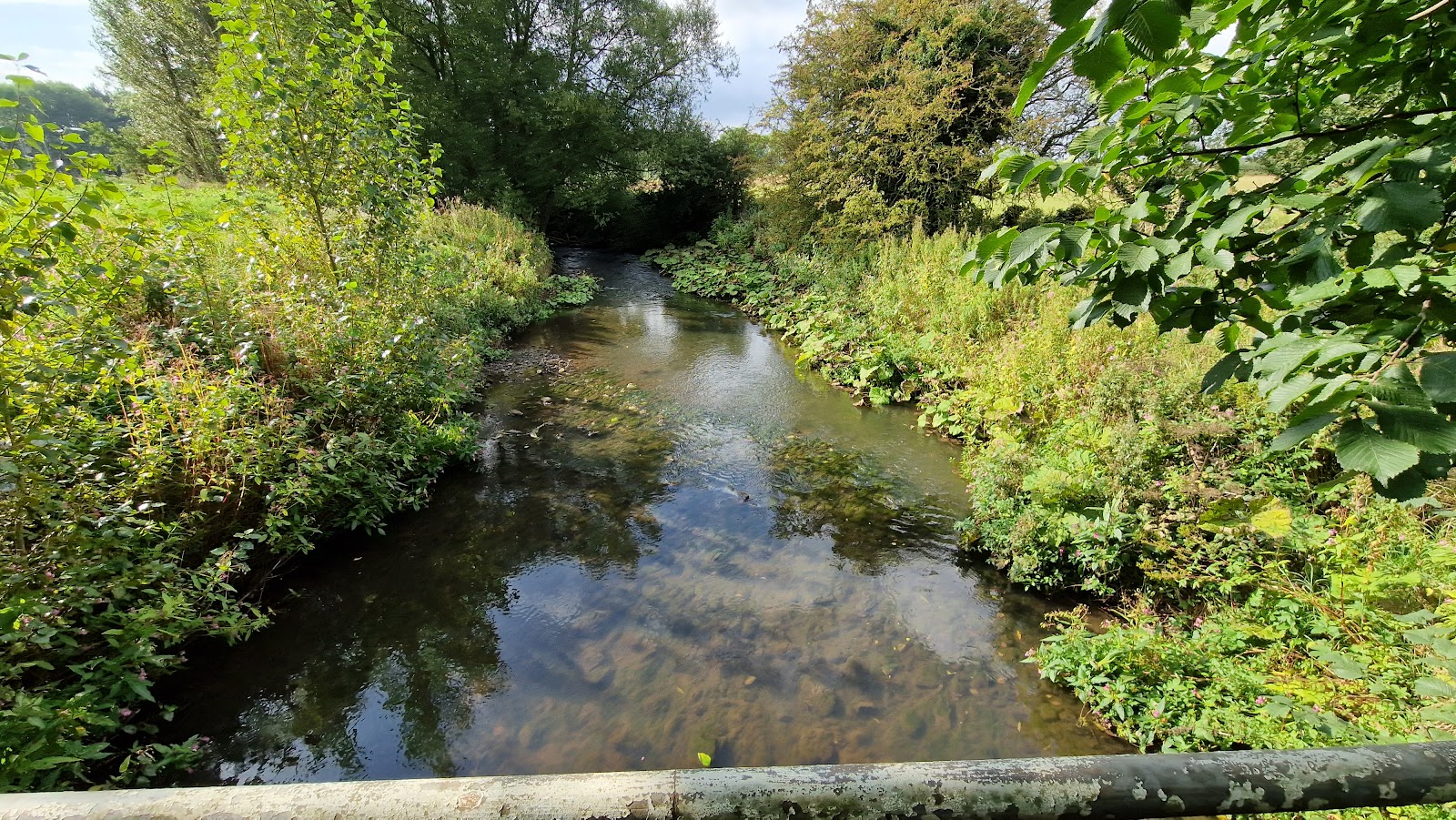 Cod Beck Riverside Walk (2026) – Best of TikTok, Instagram & Reddit ...