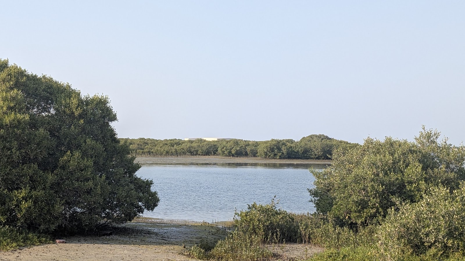 Ras Al Khaimah Mangroves Al Qurm Nature Reserve (2026) – Best of TikTok ...