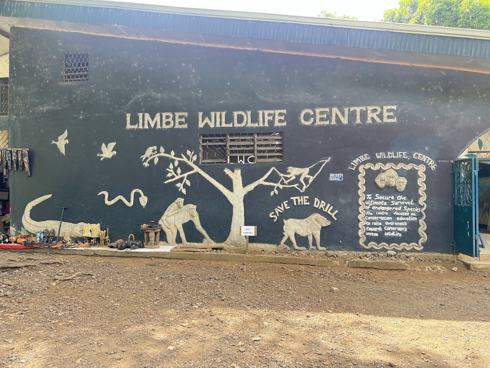 Limbe Wildlife Centre Limbe (2025) – Best of TikTok, Instagram & Reddit ...