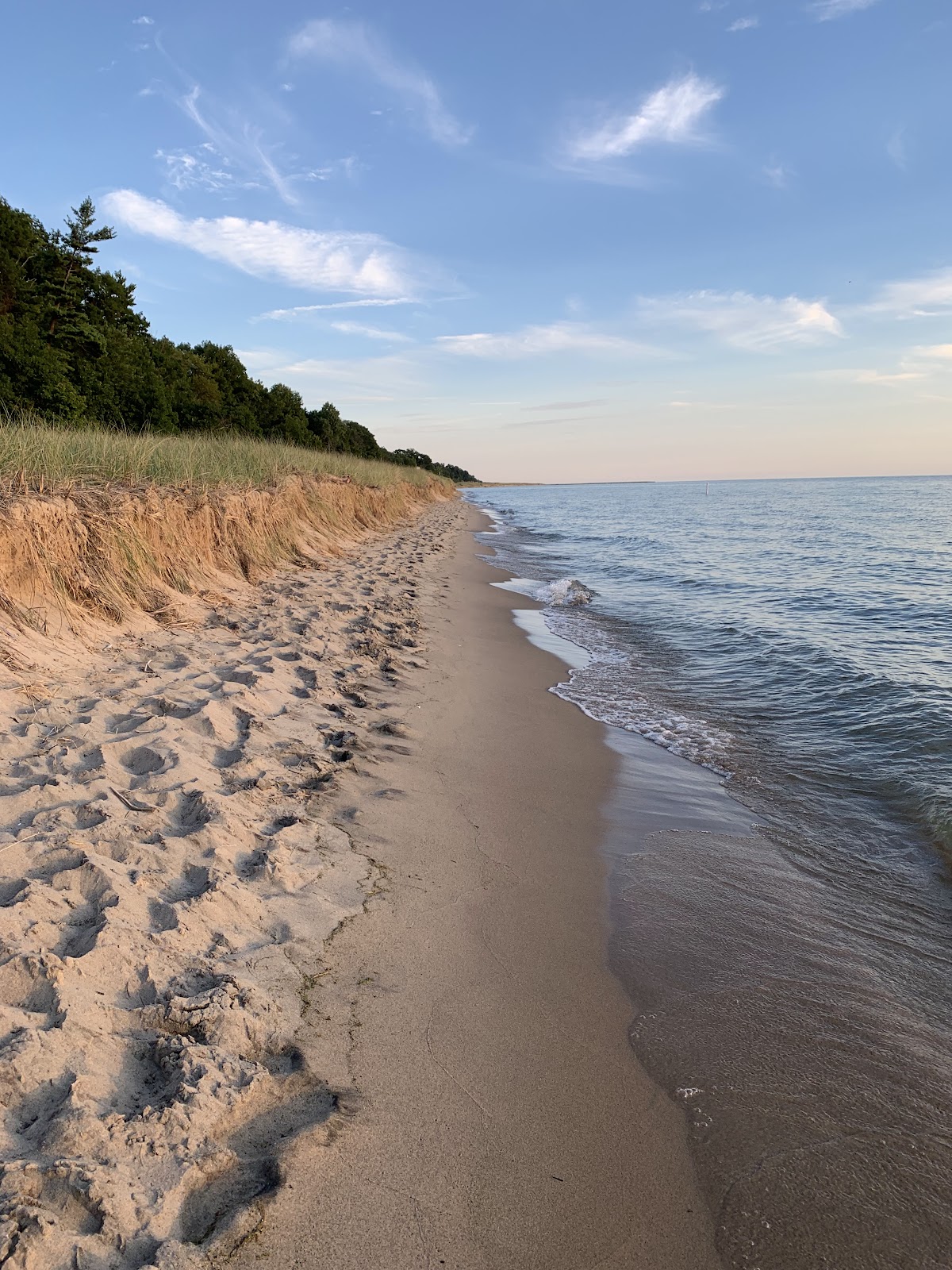 Olive Shores (2025) – Best of TikTok, Instagram & Reddit Travel Guide